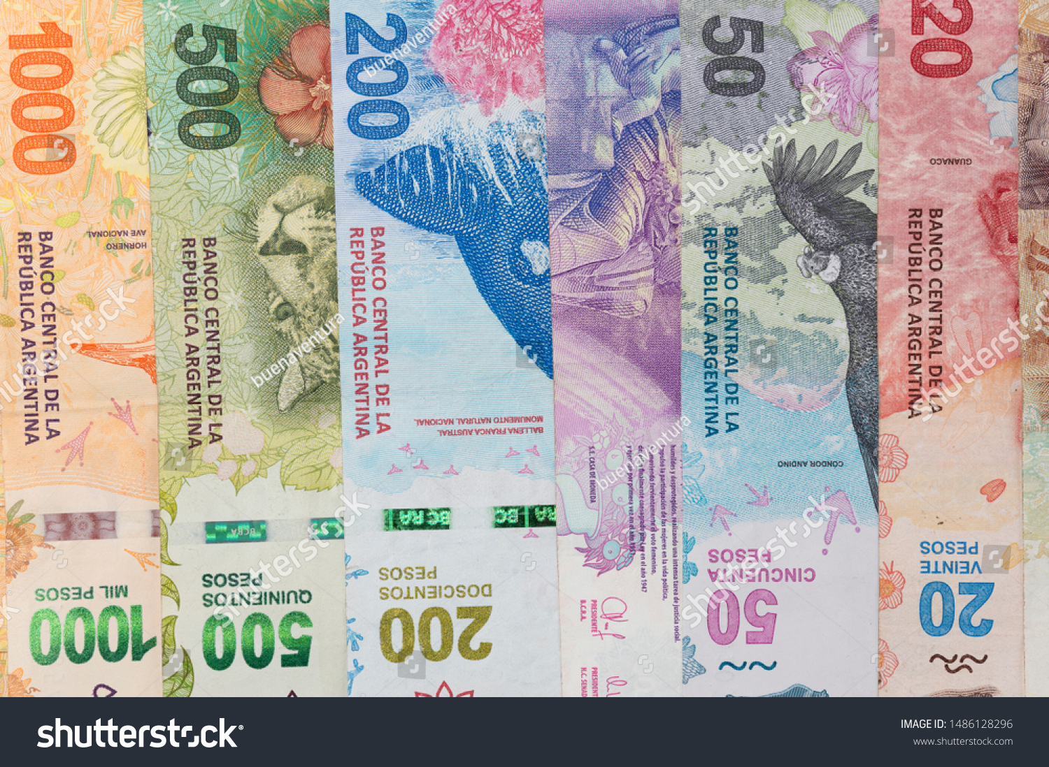 Euro Blue Argentina